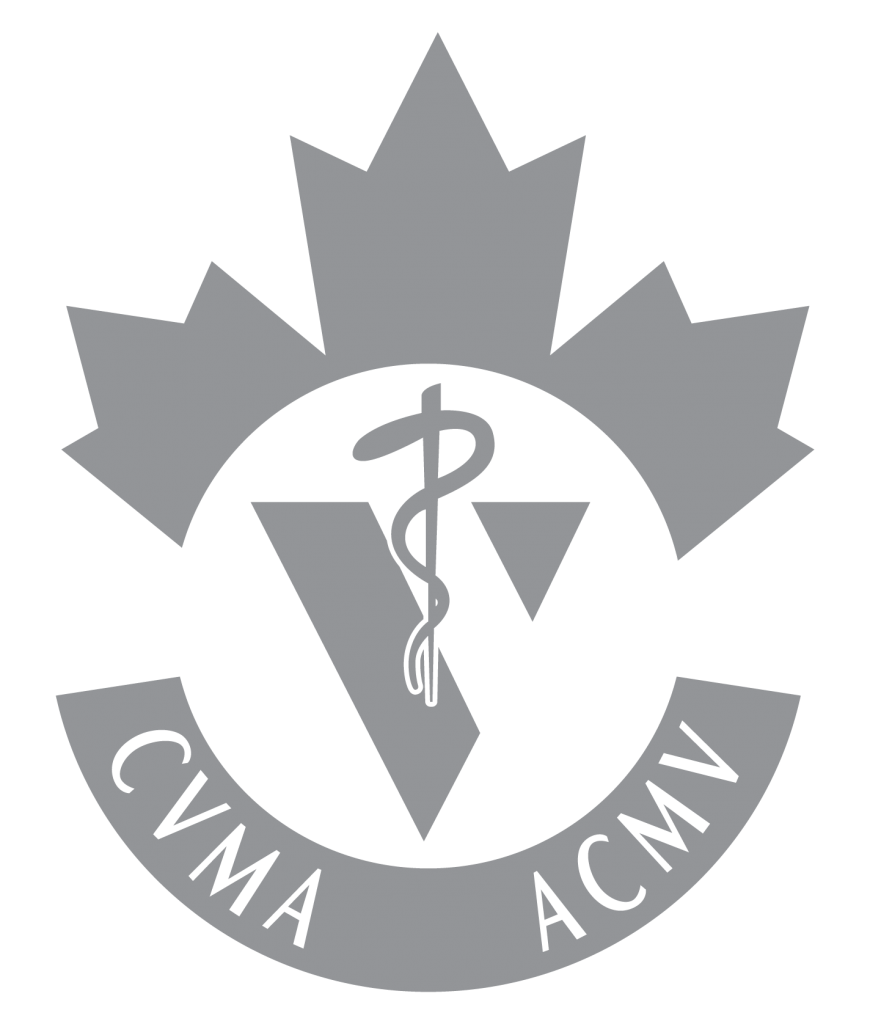 Index of /wp-content/uploads/2021/08